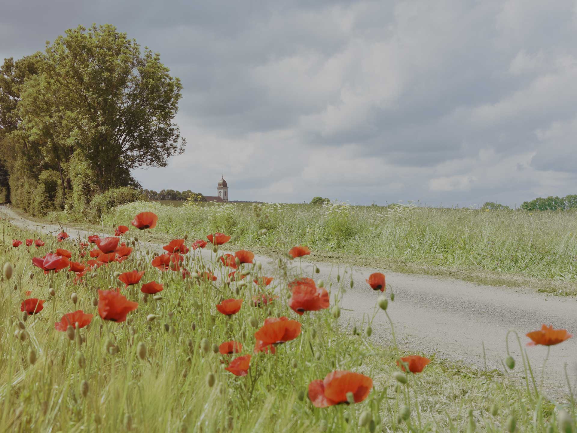 Loray - Site officiel de la commune